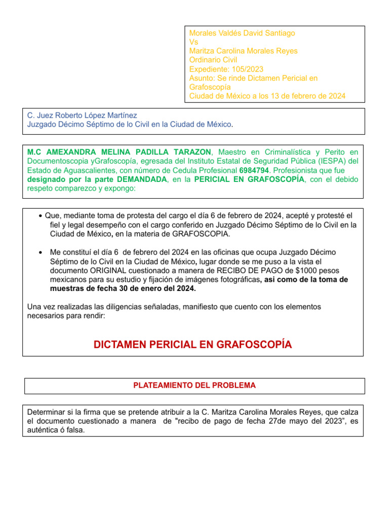 Dictamen Pericial Grupo 2 | PDF