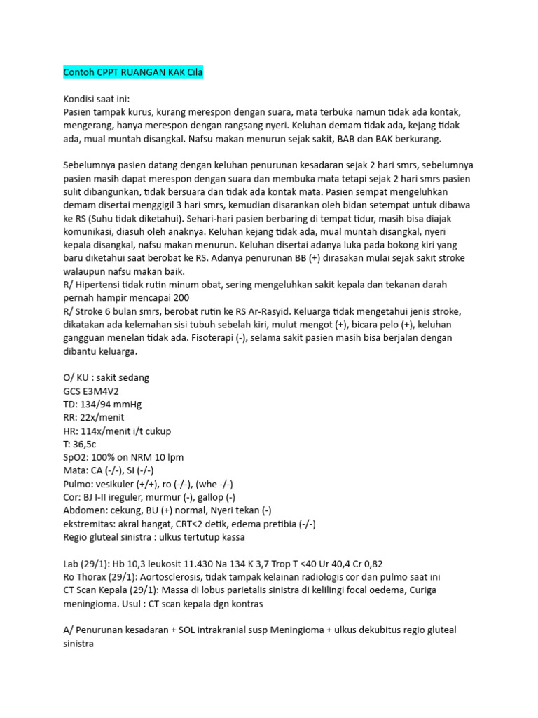 Contoh CPPT Icu | PDF