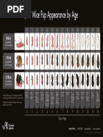 JAX Mice Pup Appearance by Age: Balb/Cj | PDF