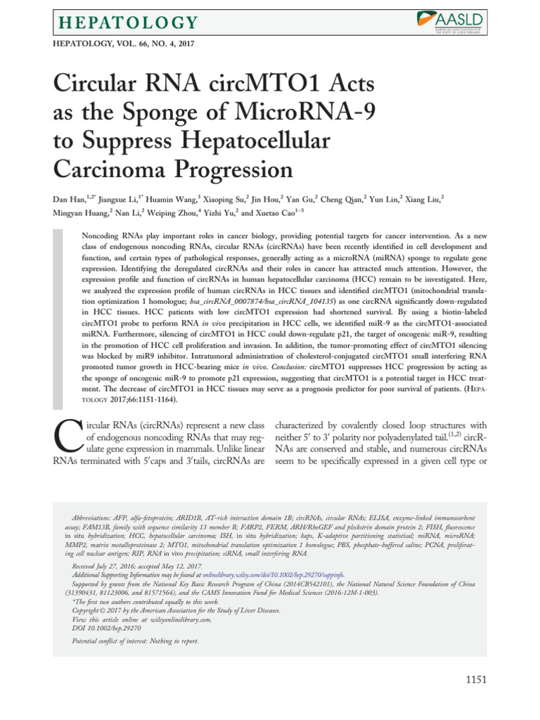 Hepatology - 2017 - Han - Circular RNA circMTO1 Acts As The Sponge of microRNA 9 To Suppress ...