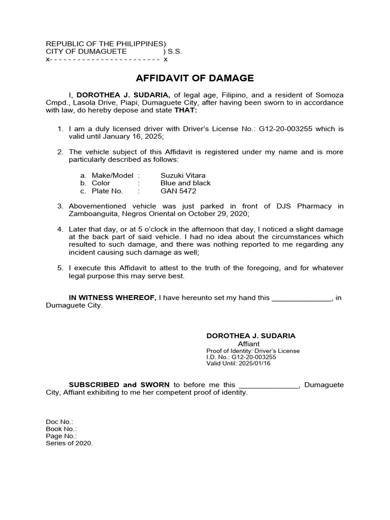 Affidavit of Damage_Sudaria | PDF