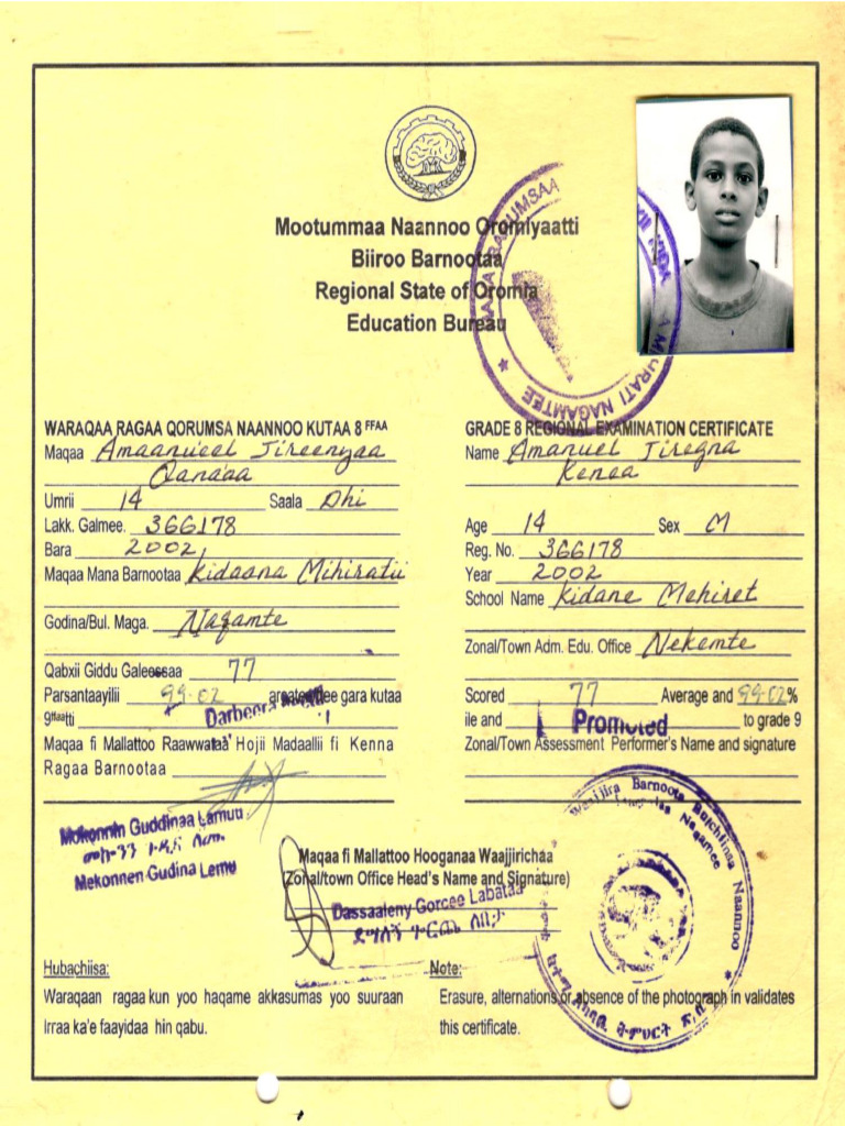 Amanuel Jiregna Kenea | PDF