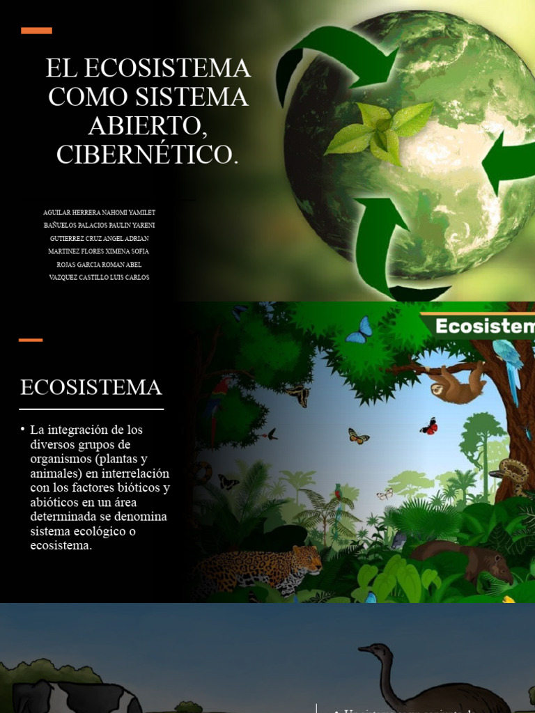 El Ecosistema Como Sistema Abierto, Cibernético | PDF | Entorno natural | Ecosistema