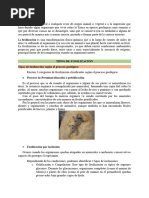 Procesos de Fosilización y Tafonomía | PDF | Fósil | Paleontología