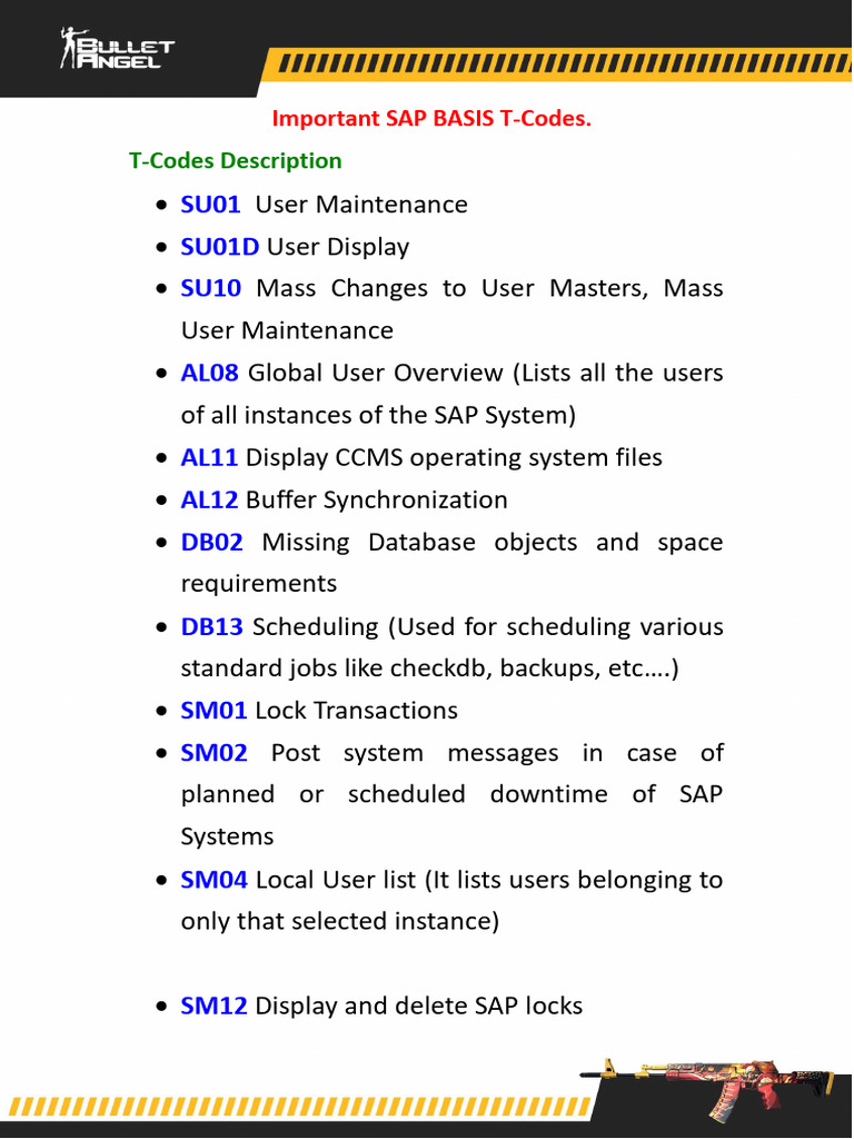 Important Sap Basis T Codes 1709353778 | PDF | Software Engineering | Computer Programming