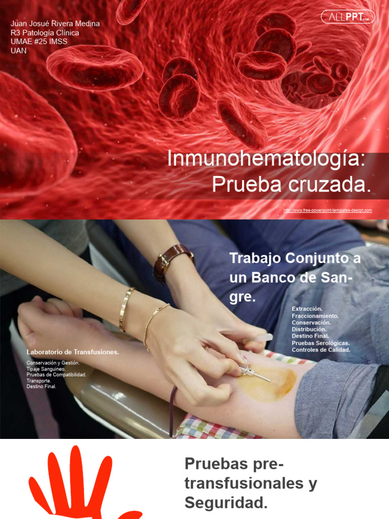 Expo Prueba Cruzada | PDF | Transfusión de sangre | Sangre