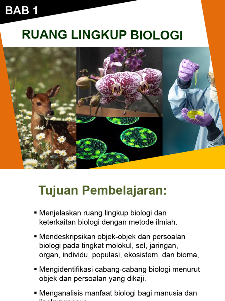 Ruang Lingkup Biologi | PDF