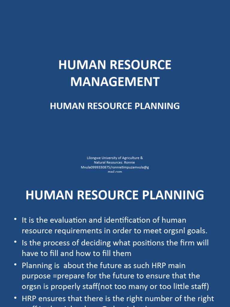 Human Resource Planning | PDF | Labour Economics | Human Resources