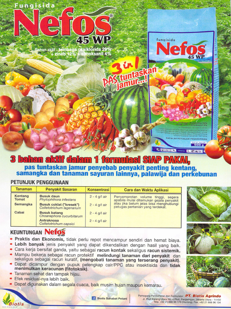 Nefos Brosur 2024 | PDF