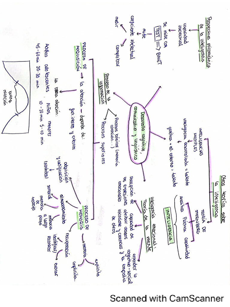Mapa mental t7 | PDF