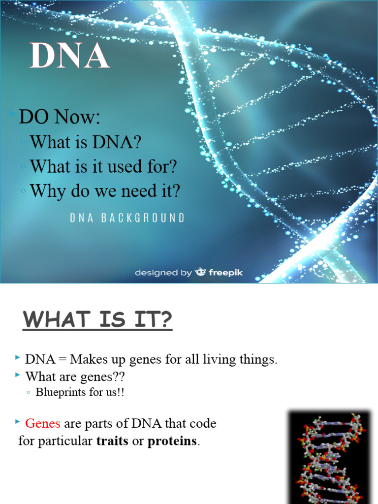 DO Now:: What Is DNA? What Is It Used For? Why Do We Need It? | PDF