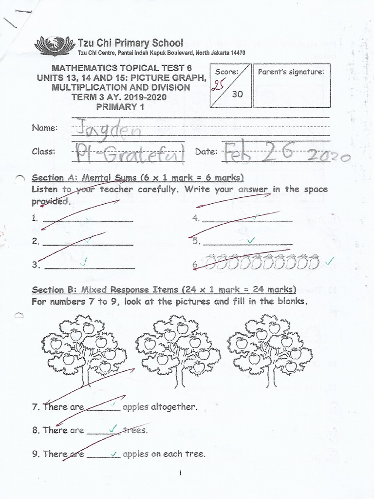 P1 Math tt6 Pict Multi | PDF