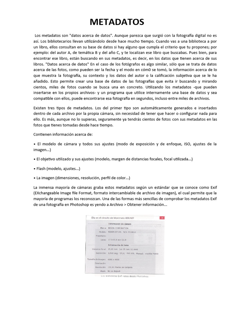METADATOS | PDF | Informática