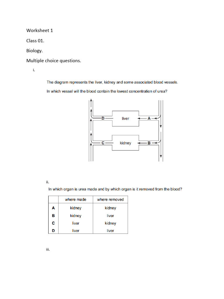 Bio Assignment | PDF