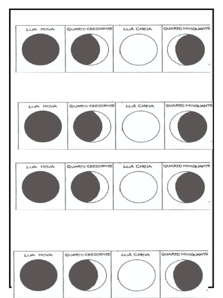 Ativ. Ciências 28.02 3 Ano | PDF