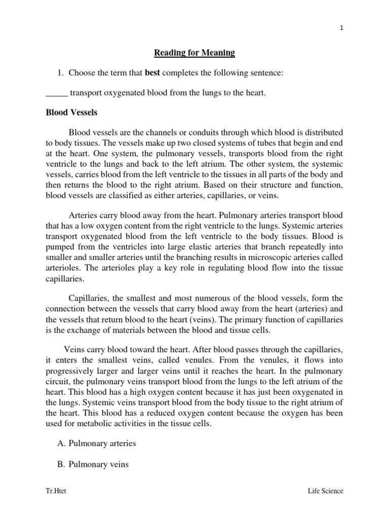 GED, Flash, Reading For Meaning | PDF