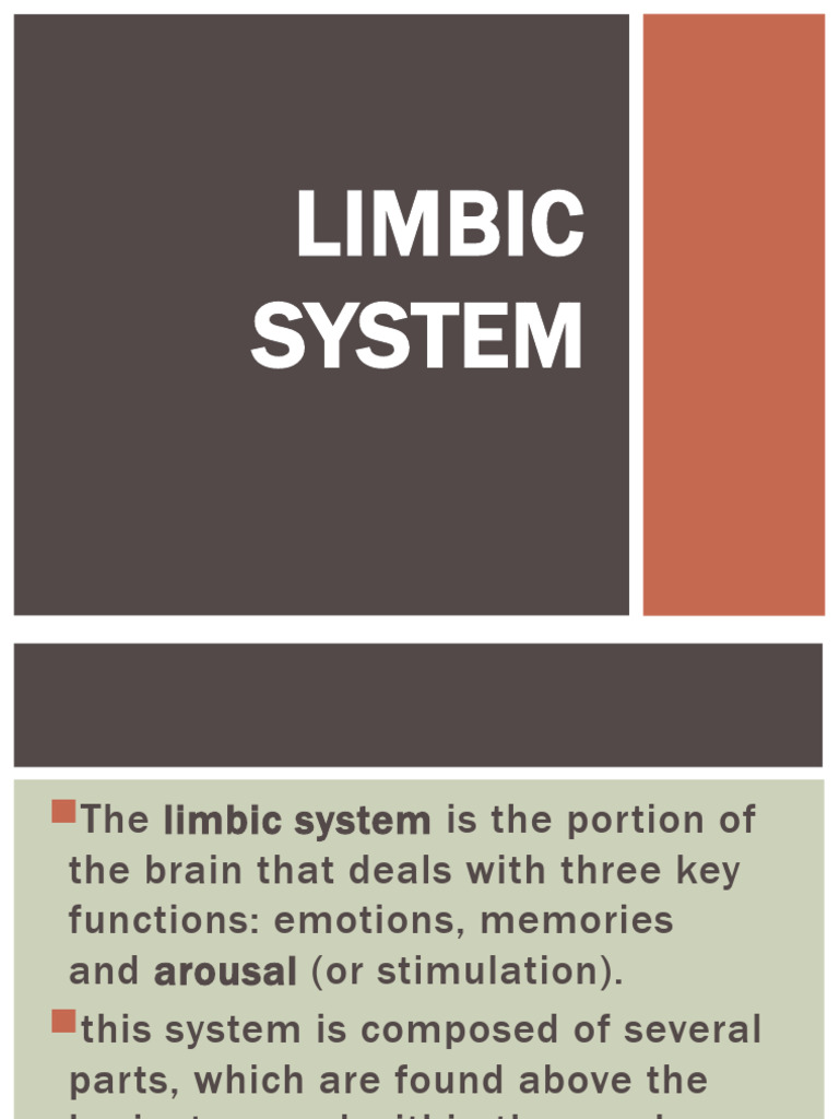 Limbic System | PDF