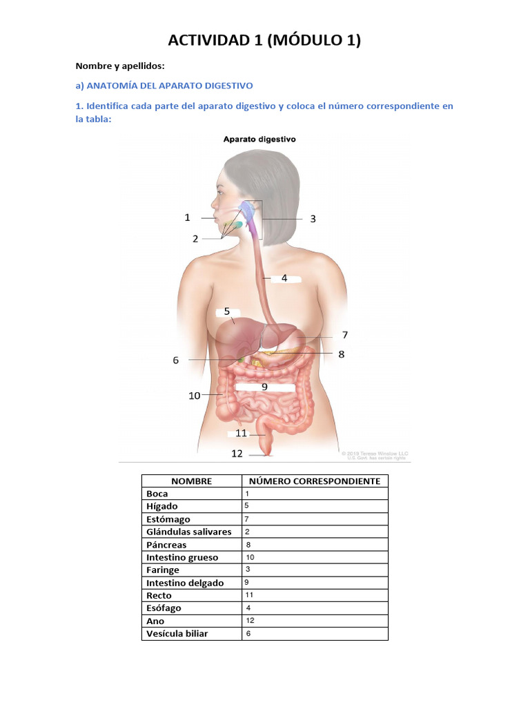 Actividad - Modulo - 1 Editable | PDF
