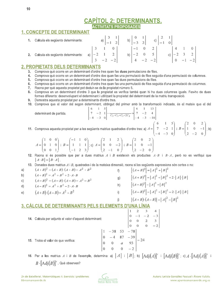 Tema 01 - Matrices | PDF