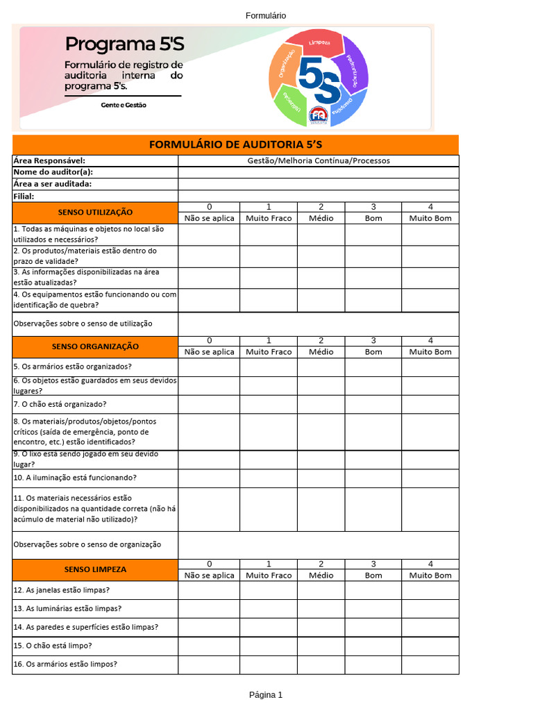 Formulário de Auditoria 5S | PDF | Informática
