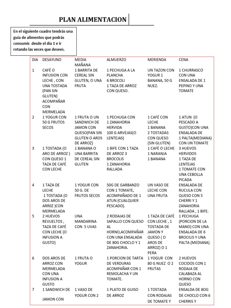 0 - Plan Alimentacion C | PDF