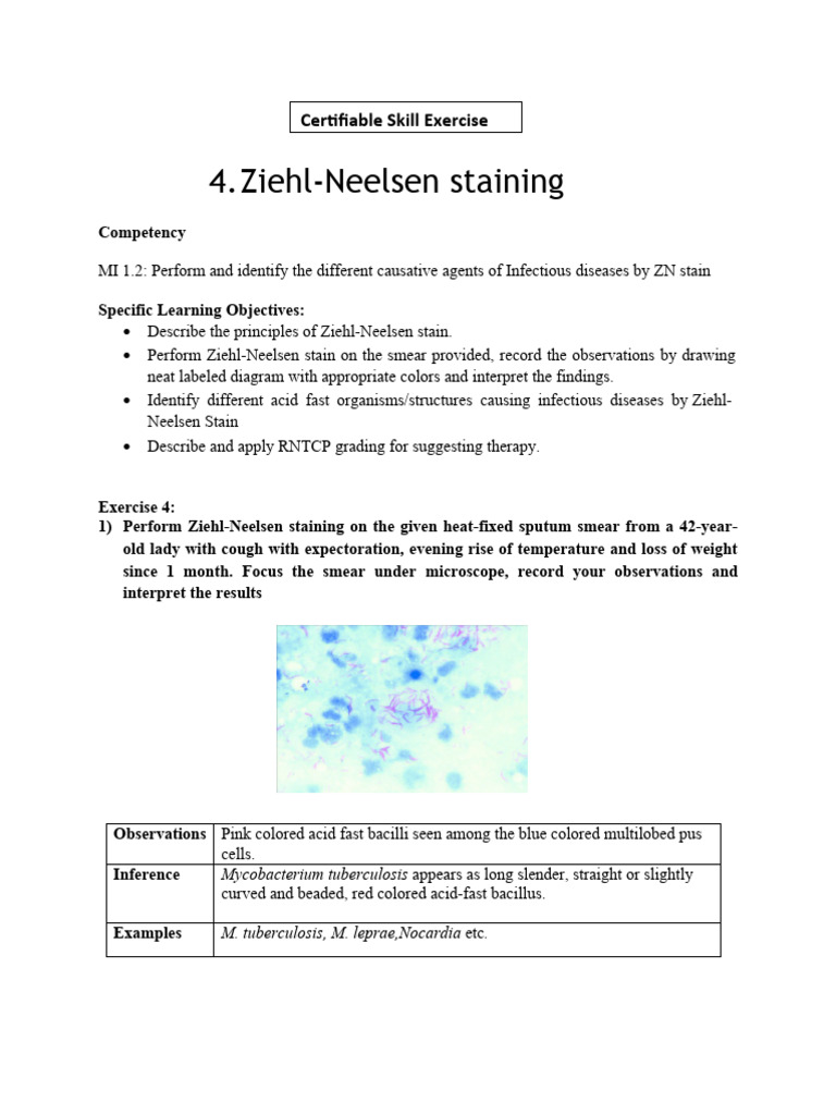 4.Ziehl Neelsen Staining | PDF