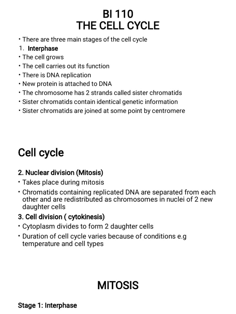 Bi 110 - Cell Cycle | PDF
