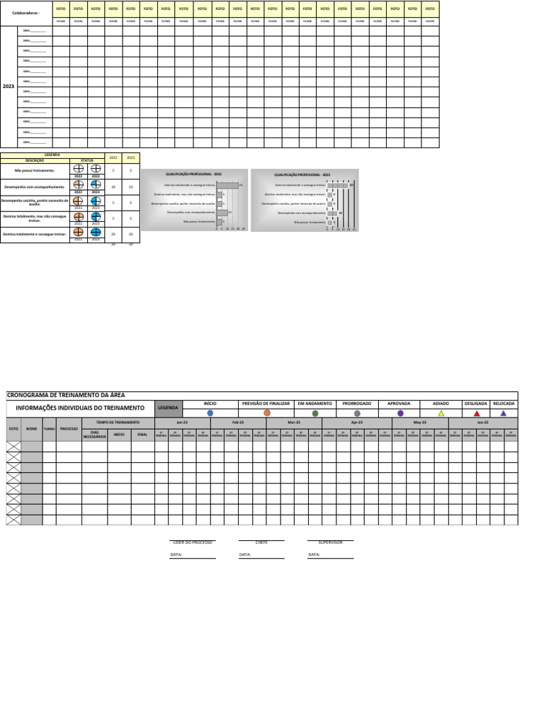 Matriz de Versatilidade | PDF