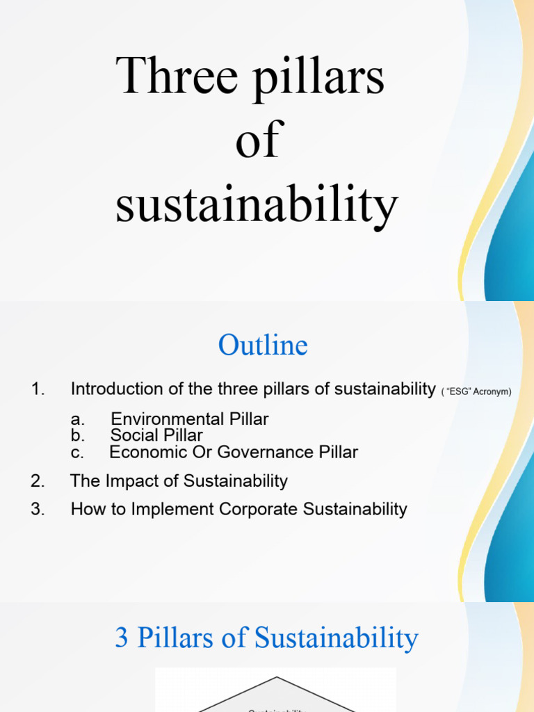 Three Pillars of Sustainability Explained | PDF