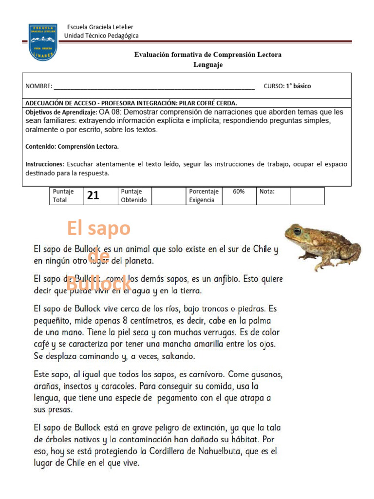 Evaluación Comprensión Lectora: Sapo Bullock | PDF | Estudios de ...