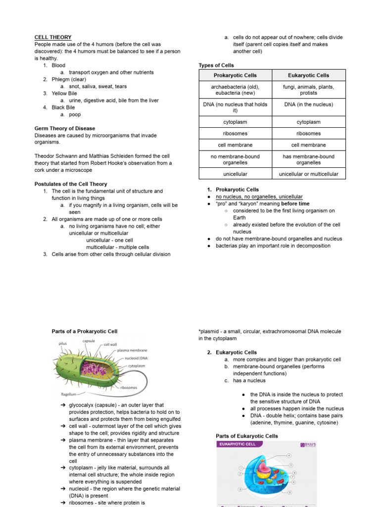 Biology Cells | PDF | Cell (Biology) | Cell Membrane