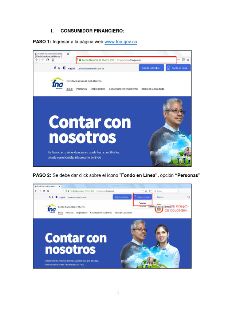Instructivo FNA - Funcionario | Descargar gratis PDF | Internet | Software