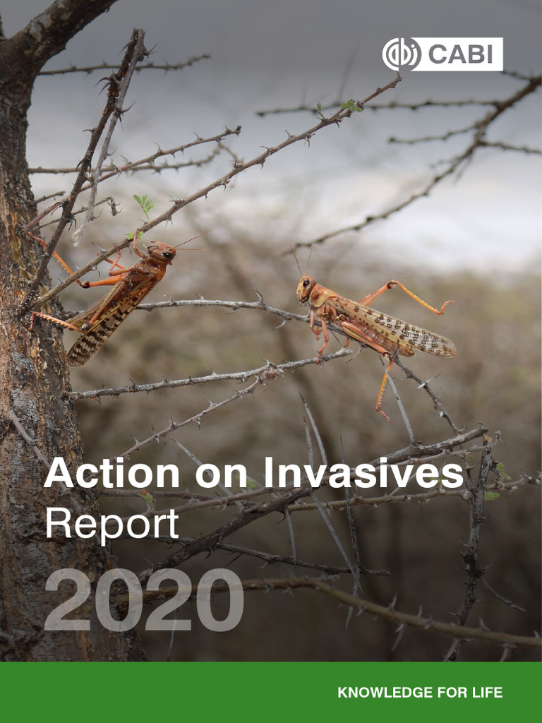 Action On Invasives Annual Report 2020 PUBLIC | Download Free PDF ...