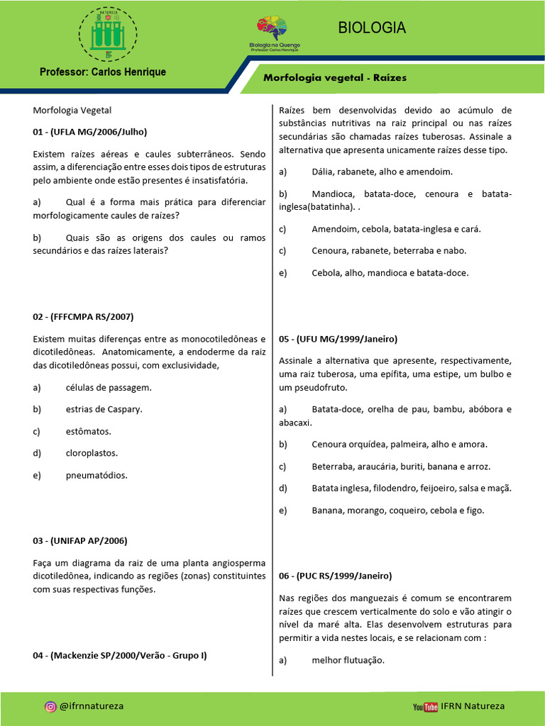 Morfologia Vegetal - Raizes | Download grátis PDF | Raiz | Plantas