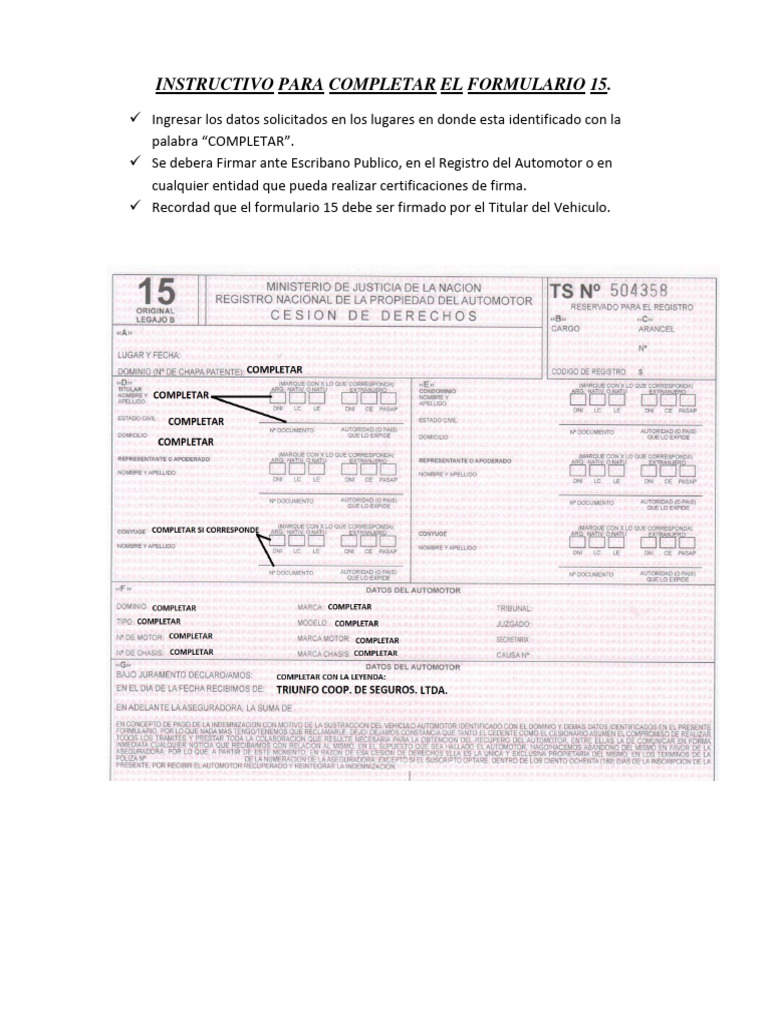 Instructivo Formulario 15 | PDF