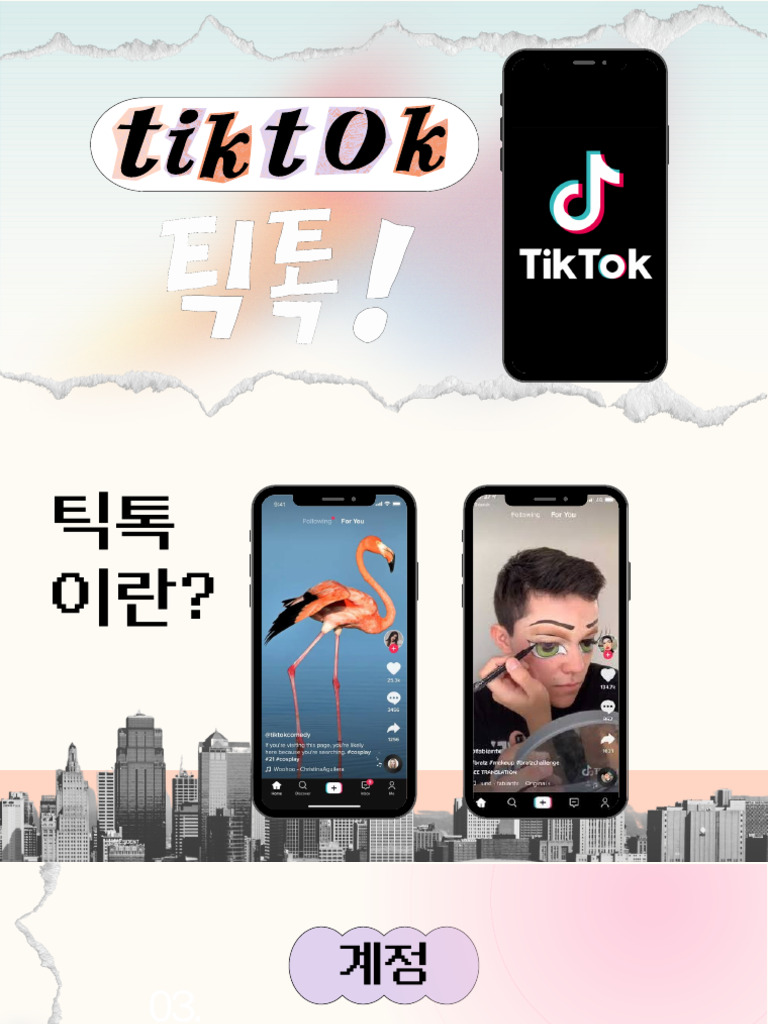 TikTok Presentation | PDF