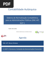 SNC-AP: Estrutura e Normas Contábeis Públicas | PDF | Contabilidade ...