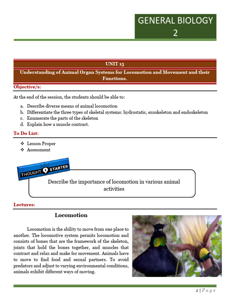 UNIT 15 (Organ Systems For Locomotion and Movement) | PDF