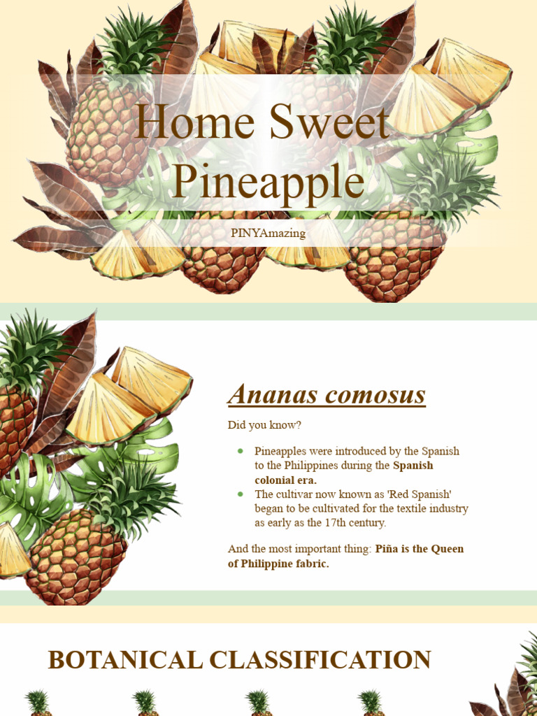 Pineapple | PDF | Pineapple