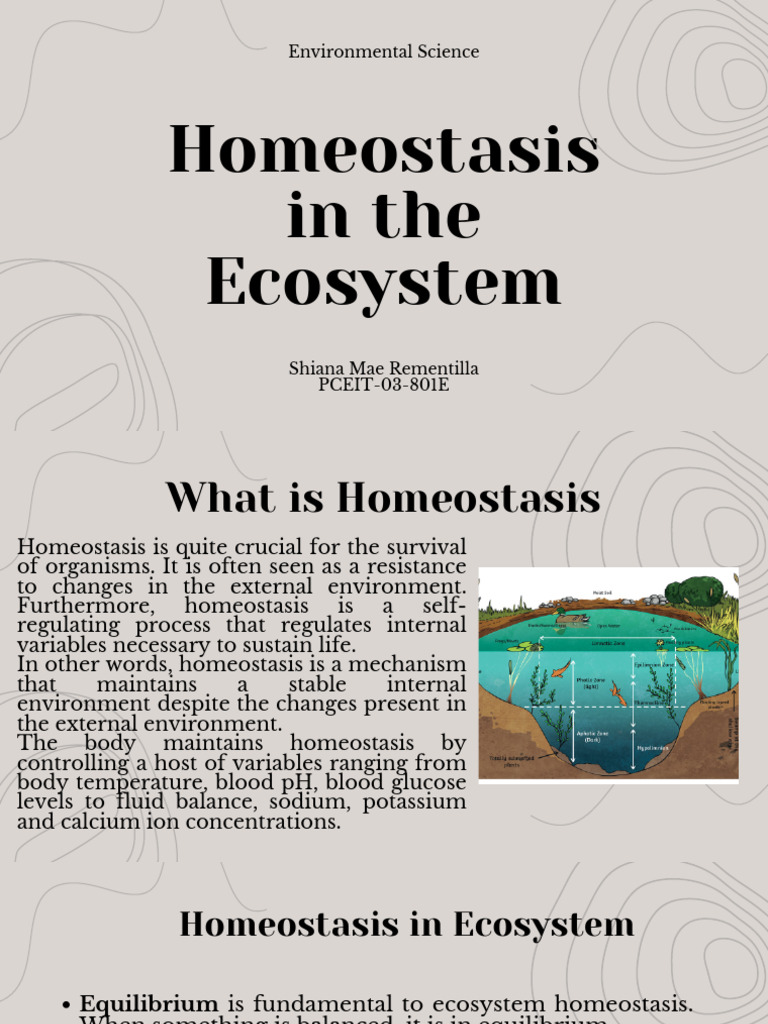 Understanding Ecosystem Homeostasis | PDF | Homeostasis | Action Potential