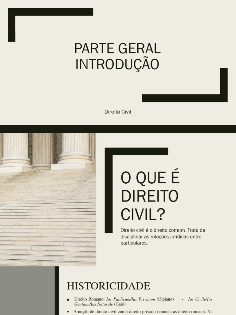 DIREITO CIVIL I - PARTE GERAL - PRINCÍPIOS - 2024 | PDF | Lei Civil ...