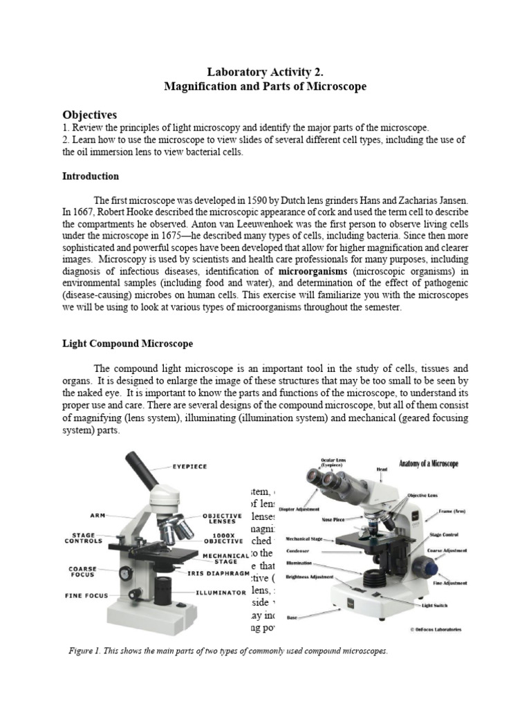 Lab Activity 2 | PDF | Microscope | Optics