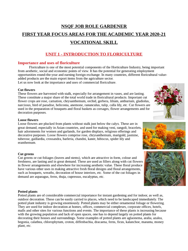 Focus area first year notes | PDF | Grafting | Compost