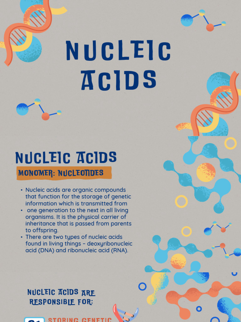 Nucleic Acids: DNA & RNA Basics | PDF