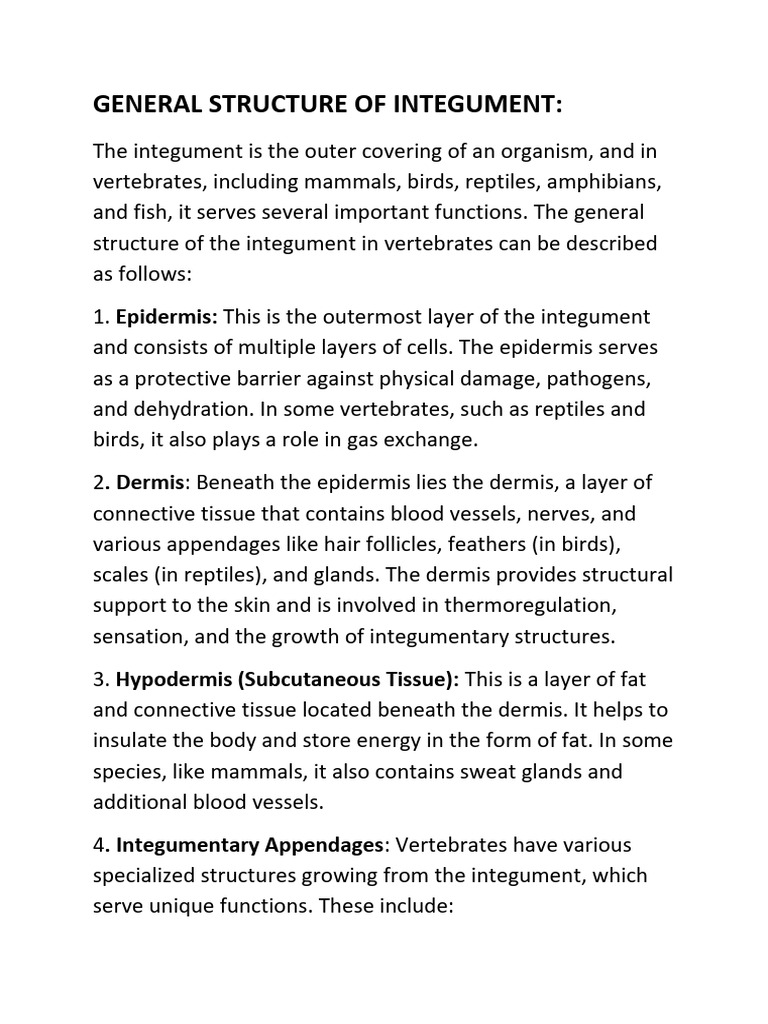 Integument Structure and Derivatives in Vertebrates | PDF ...