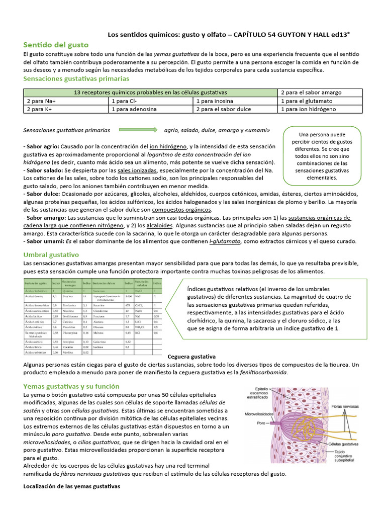 Resumen Fisiologia Gusto y Olfato Cap 54 Del Guyton y Hall Ed 13 | PDF | Gusto | Cerebro