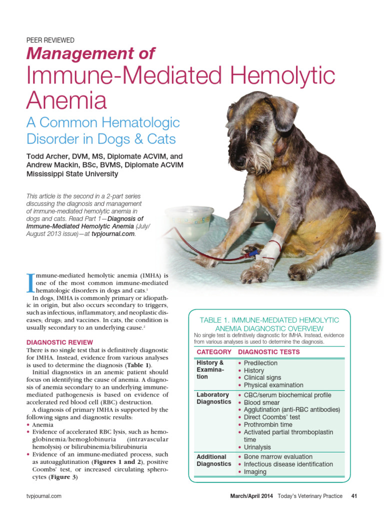 Imha Dog | PDF | Dose (Biochemistry) | Chemistry