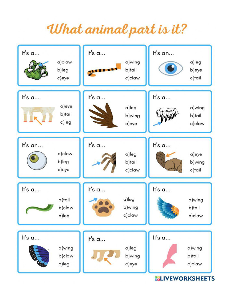 Animals Body Parts | PDF