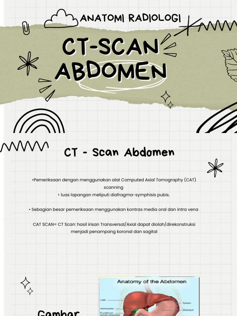 Anatomis CT Scan Abdomen dan Prosedur | PDF