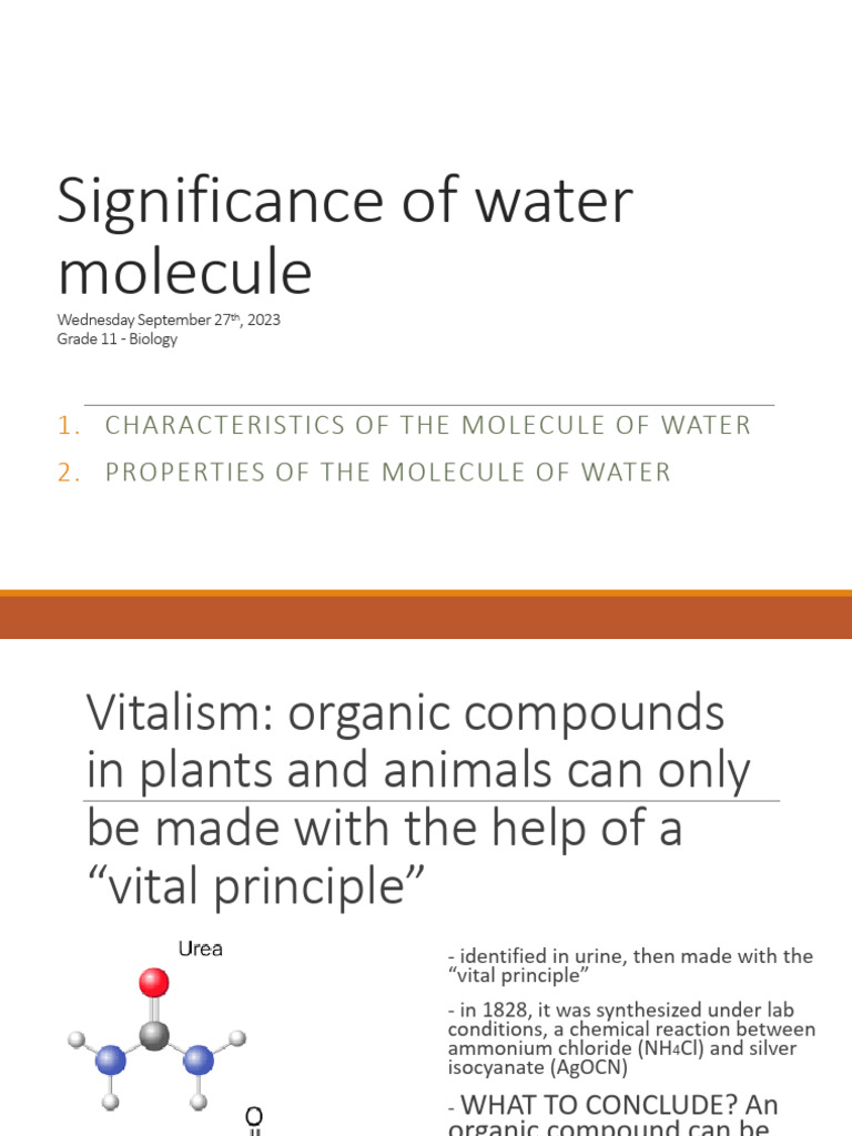 11 Biology 230927 Water | PDF | Water | Chemical Bond